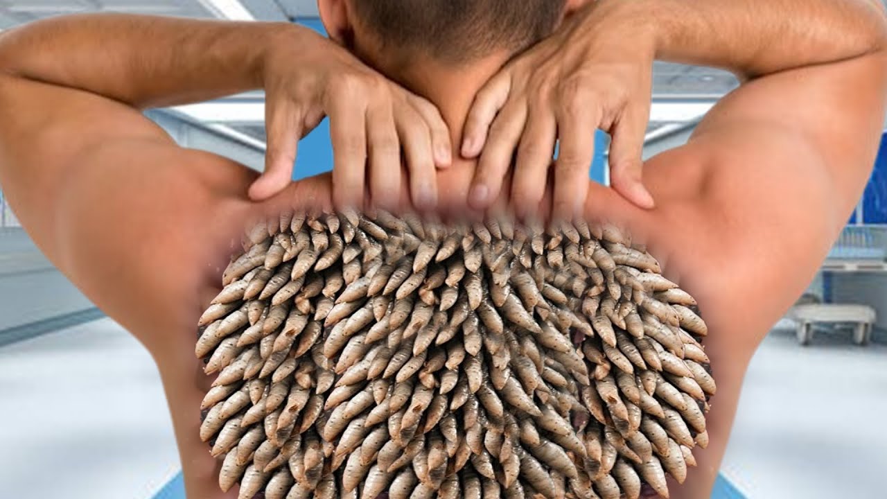 Delightful asmr back care animation - YouTube