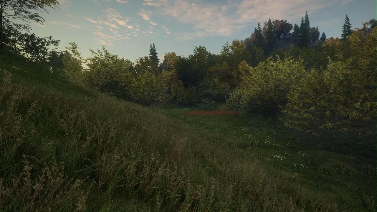 Walking in Nature Video Game - YouTube