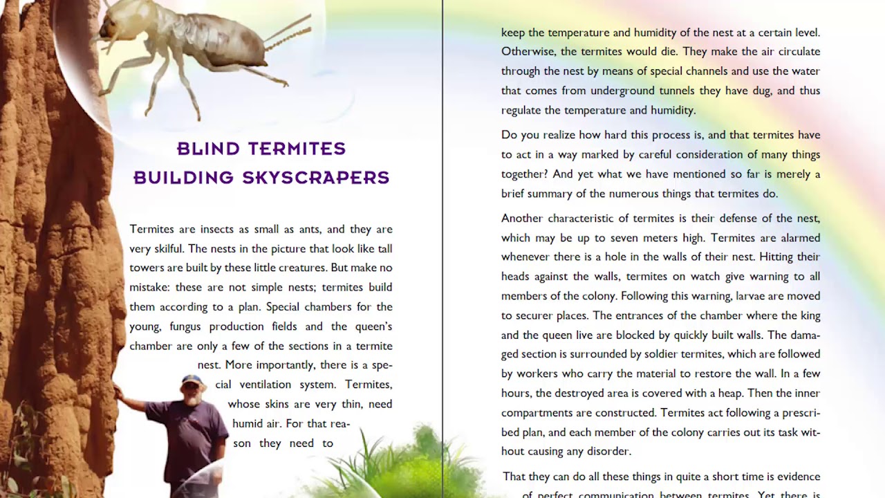 Wonderful Creatures - Blind Termites Building Skyscrapers (2 of 46 ...