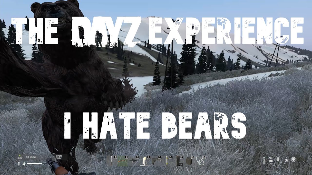 The Dayz Experience Volume 11 "I hate Bears" - YouTube