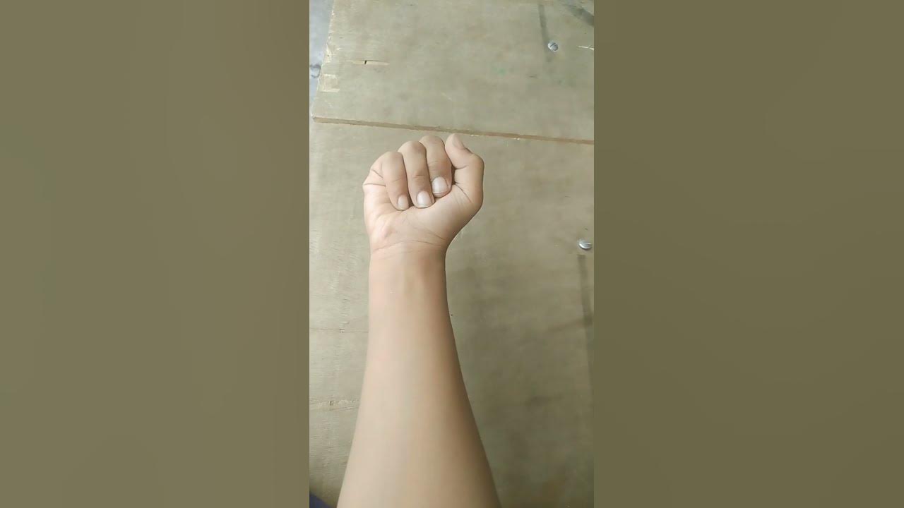 How Many Fingers Does I Have YouTube how-many-fingers-does-i-have-youtube