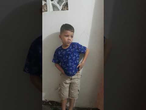 Choco busca una mamá