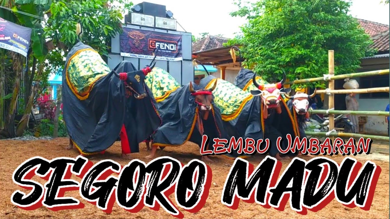 LIVE SIANG MALAM LEMBU UMBARAN sidoluhur lawang malang|kesenian ...