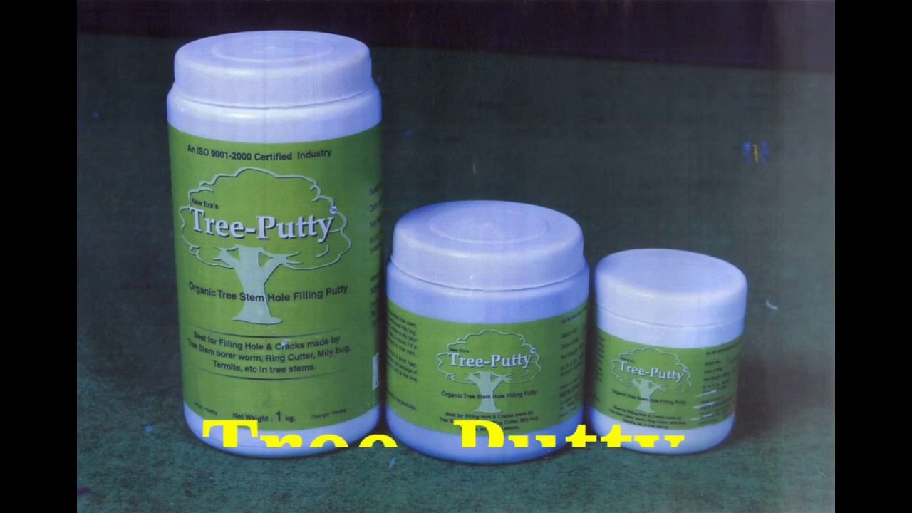 Tree -Putty - YouTube