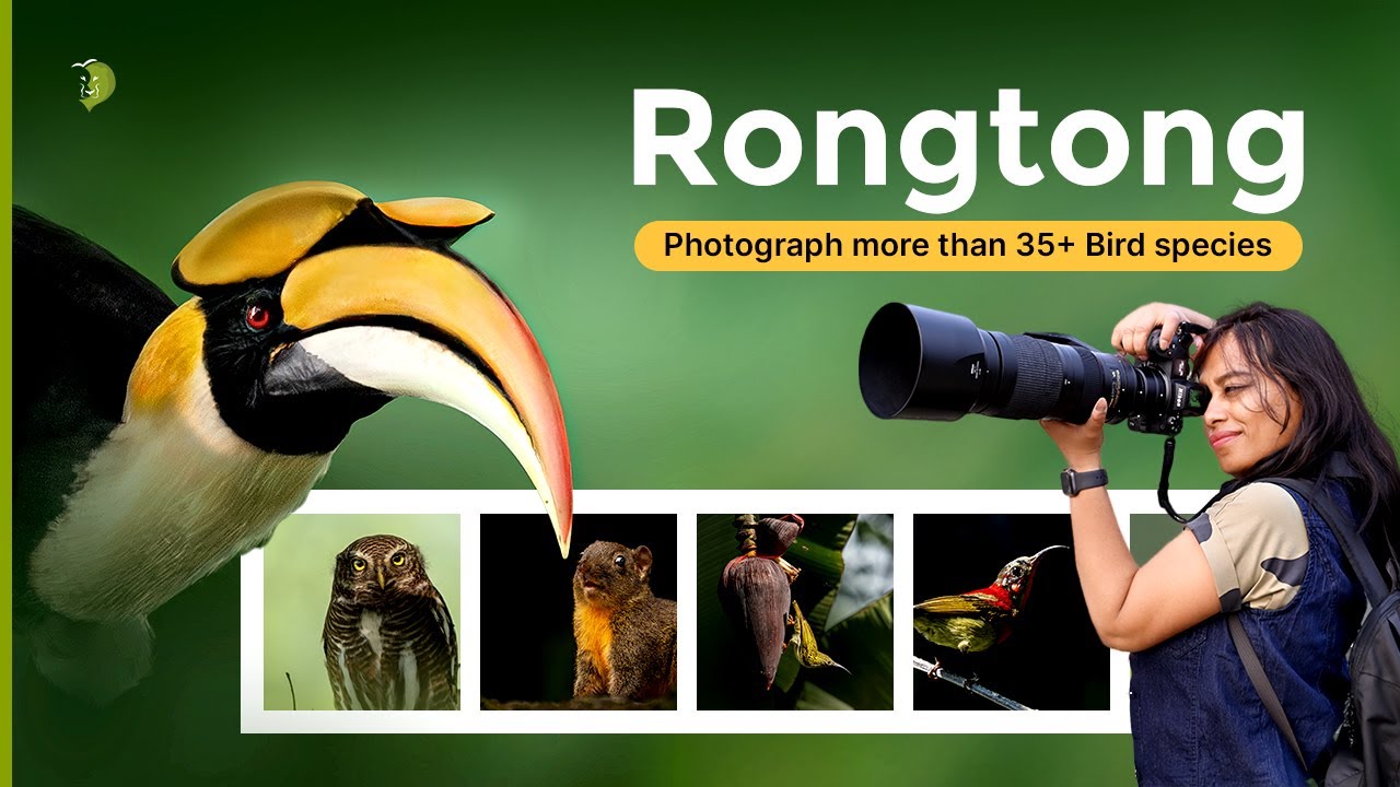 Birding in Rongtong You Need to Know | Tour Plan, Home Stay, Guide ...