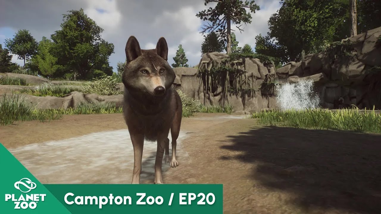 Timber Wolf Habitat | Tampton Zoo EP20 | Planet Zoo - YouTube