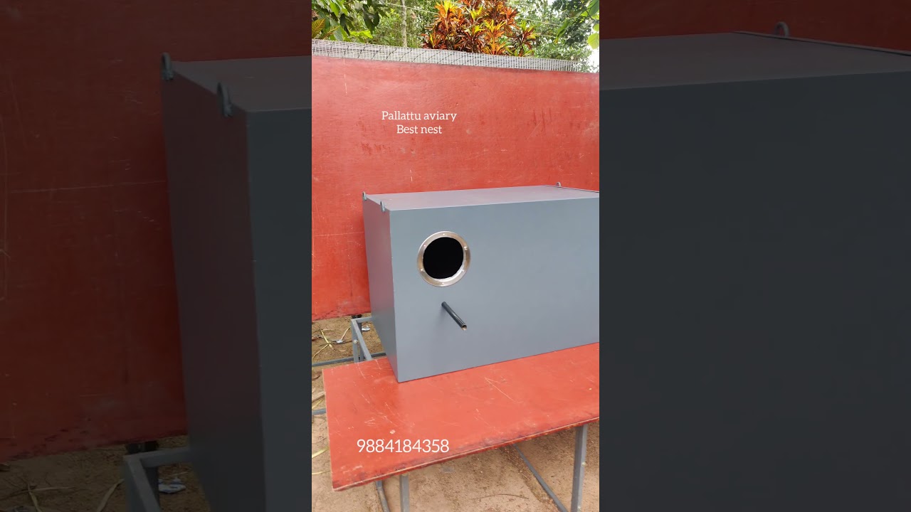 MACAW breeding box pallattuaviary9884184358 - YouTube
