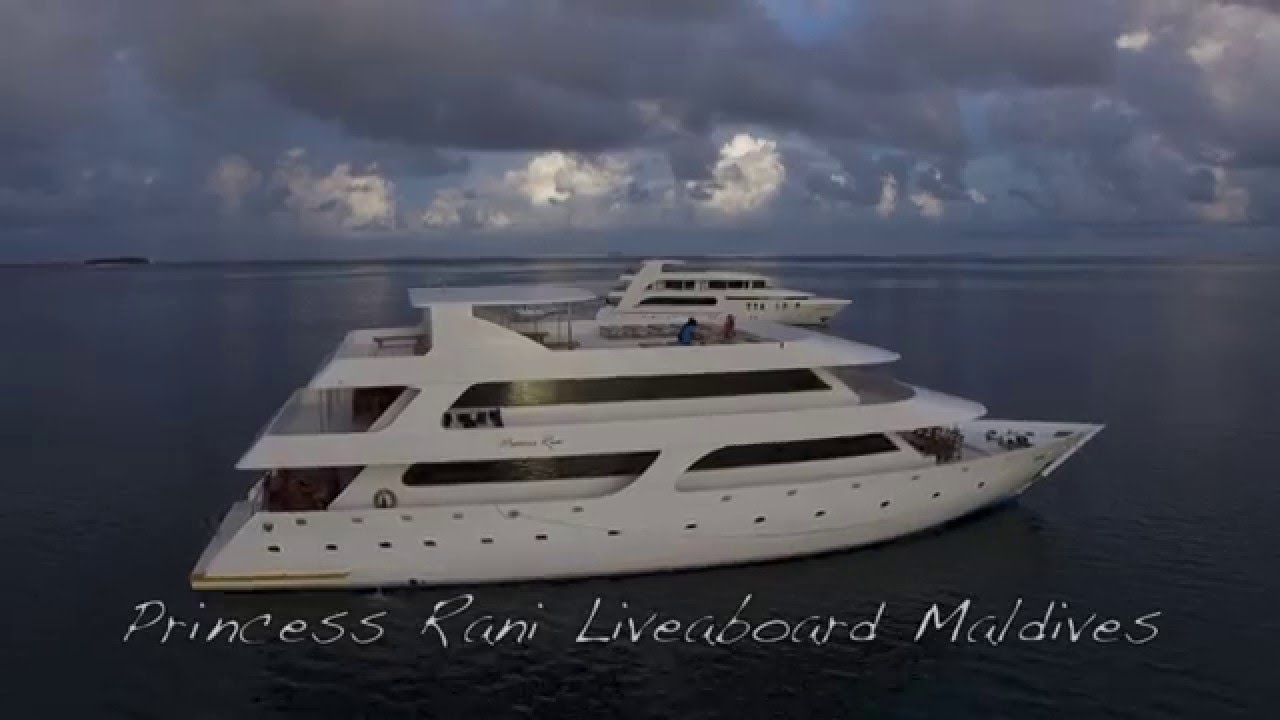 WildWater - Liveaboard Princess Rani Maldives 2015 - YouTube