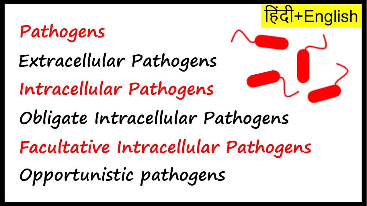 Types of pathogen | Extracellular | Intracellular | Opportunistic ...