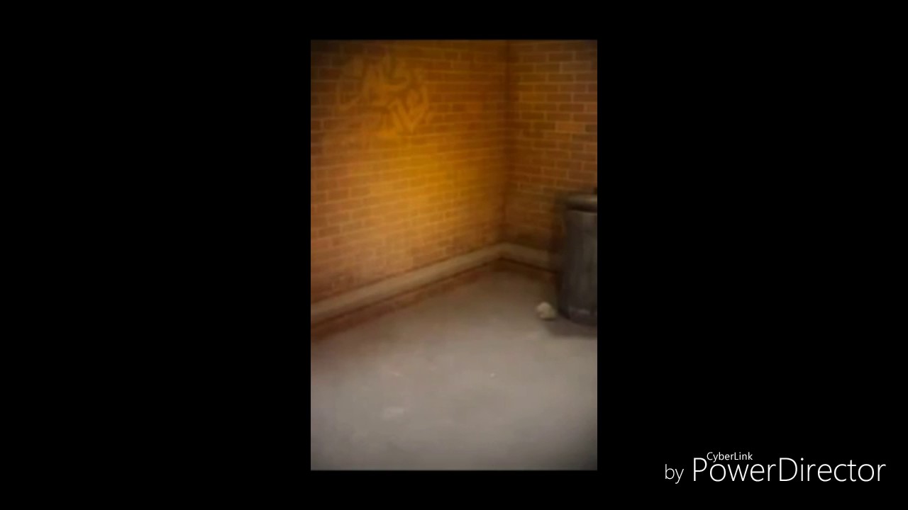 Talking Tom's Scream (JH Movie Collection Crossover) - YouTube