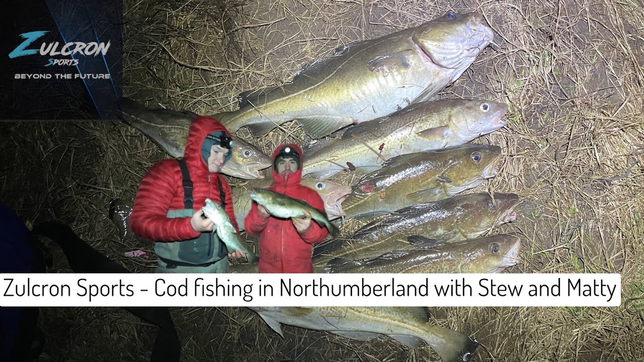 Zulcron Sports - Cod fishing in Northumberland | a cold night on the ...