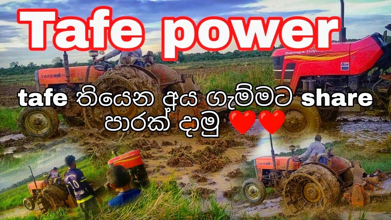 Tafe power ගැම්මක් තමා tafe තියෙන අය ගැම්මට ශෙයා කරමු. ️ ️ චැනල් එකත් ...