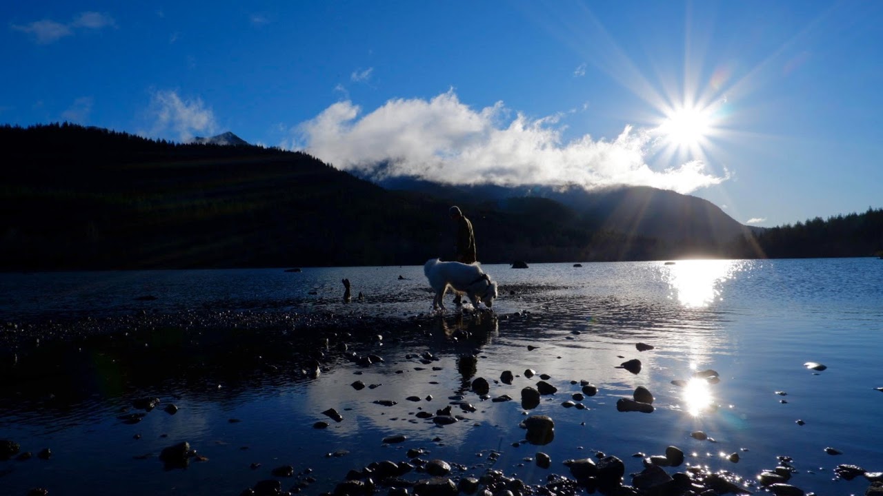 Michael Forde Live Stream - YouTube