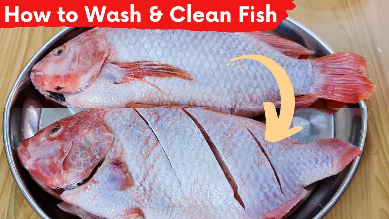 How to Cut and Wash Fish Before Cooking | Remove Fishy Smell - YouTube