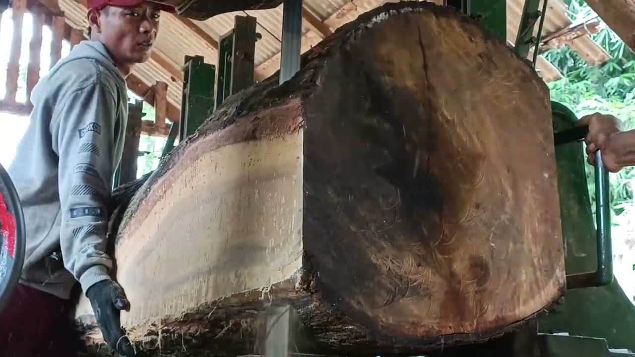 Sawing large and very hard acacia wood || TERRIBLE.. The saw blade ...
