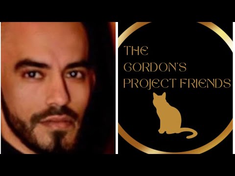 Gordon The Cat Saved A Cat Colony. - YouTube