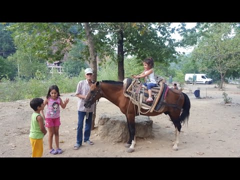 Çınarcık Teşvikiye