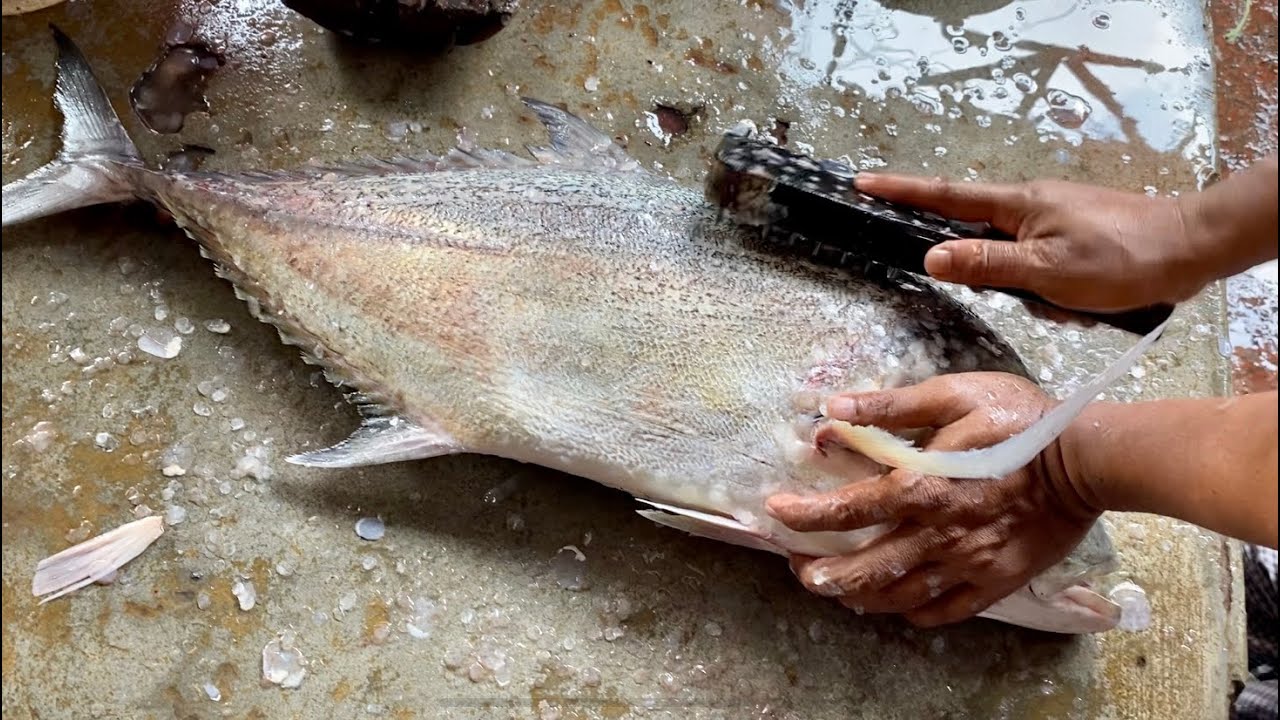 Cutting Tabla Fish I The tastiest fish ever!!! - YouTube