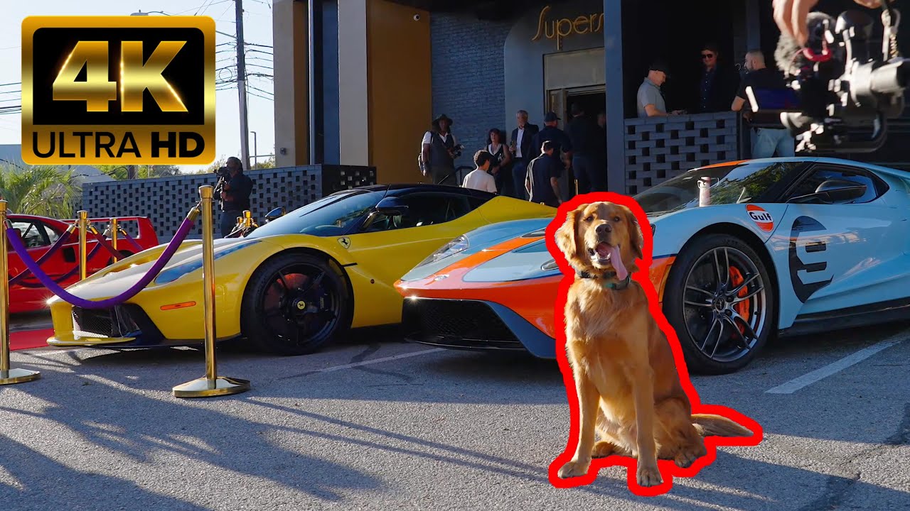 Austin Supercars and Exotics Take Over Downtown Austin! - [4K 60 FPS ...