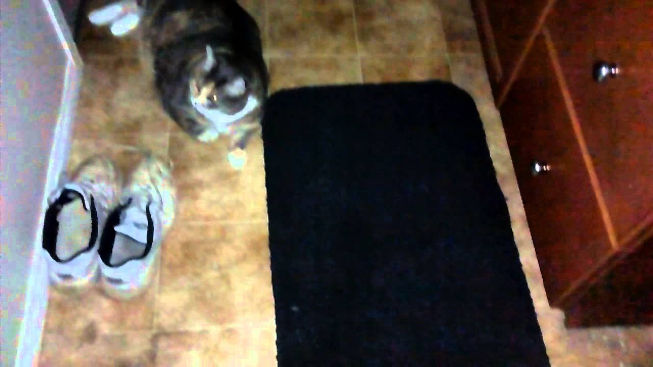 ENJOYING SOME COOL ORBS WITH MY GIRL !!!! - YouTube