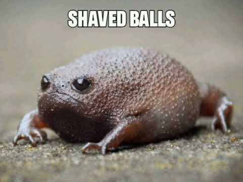 Shaved Frog - YouTube
