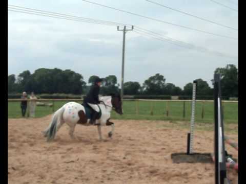 Sophie and Smartie SJ South Trent Pony Club