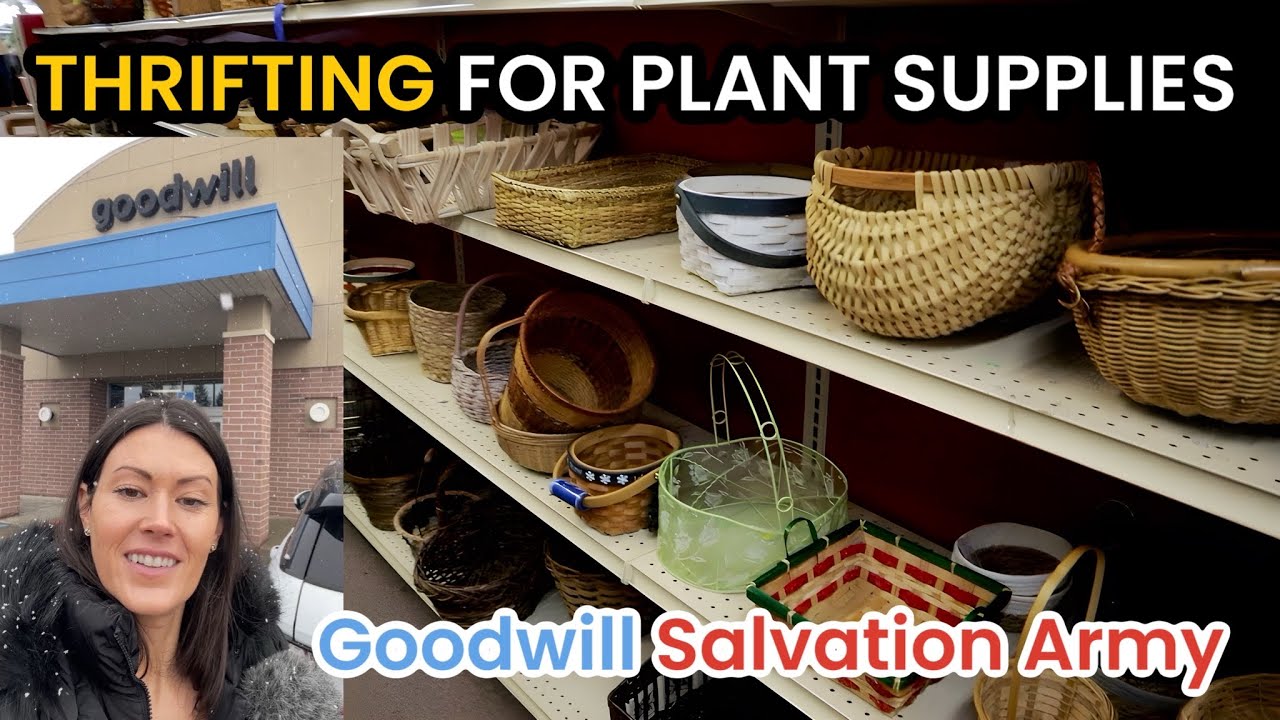 THRIFTING For Plant Supplies! Goodwill & Salvation Army - Hunt For ...