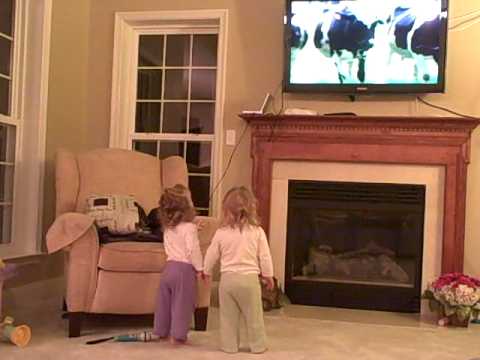 Wed, Jan 7, 2009 - Baby Einstein Neighborhood Animals on the big screen