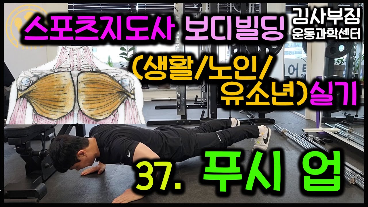 스포츠지도사 보디빌딩 생활노인유소년 실기 푸시 업 발굽혀펴기대흉근운동대한보디빌딩협회 세부시행계획 설명 및 동작