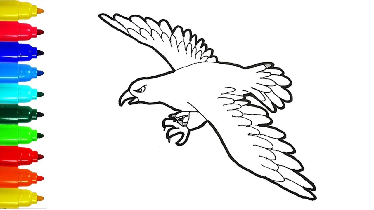 Vẽ con chim đại bàng | How to draw Eagle | Drawing Tutorials. - YouTube