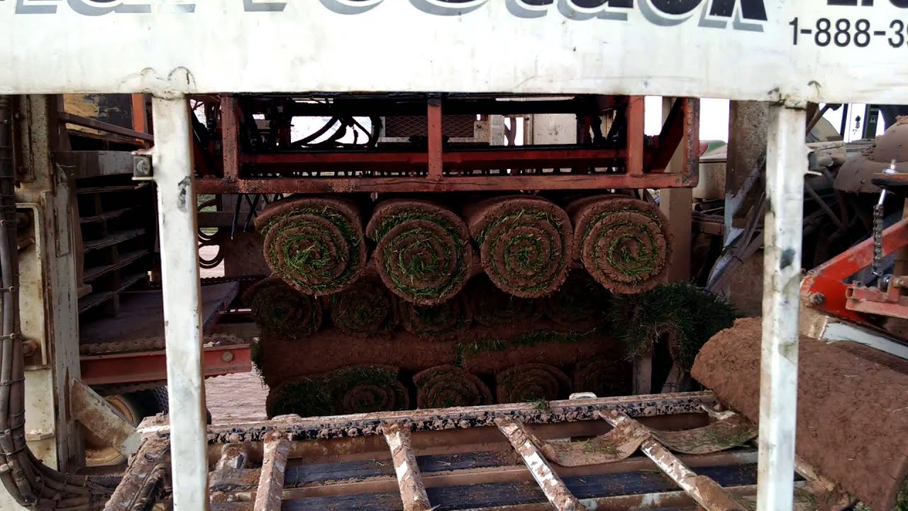 Sod Harvesting Demo - YouTube
