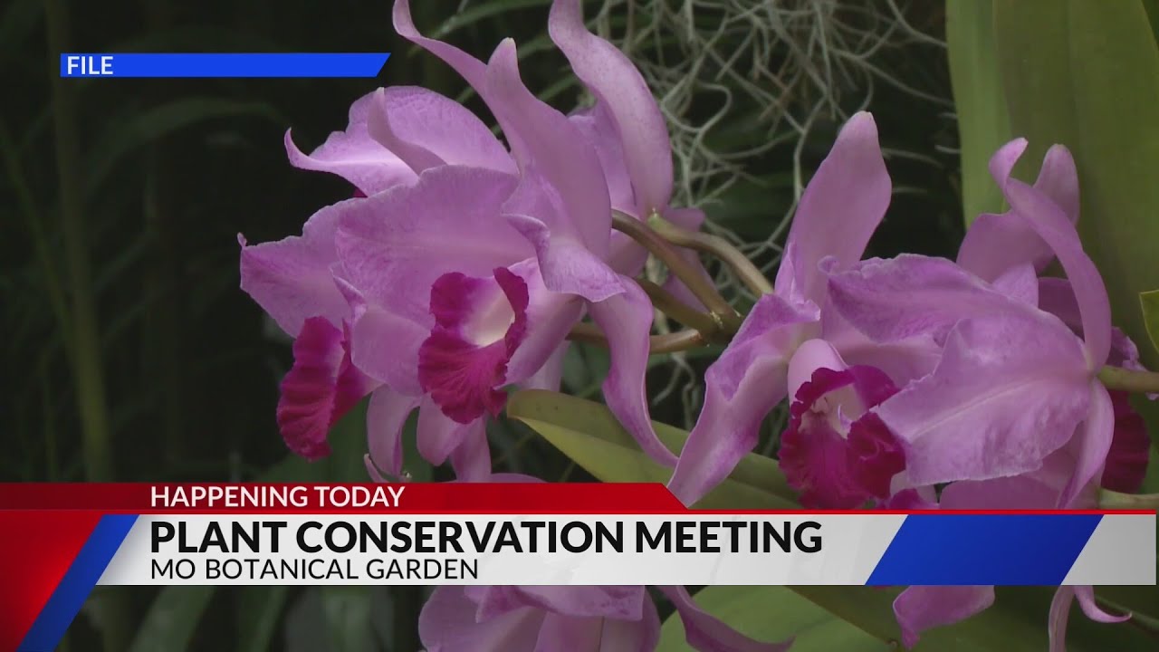 Plant conservation meeting happening today at Missouri Botanical Garden ...