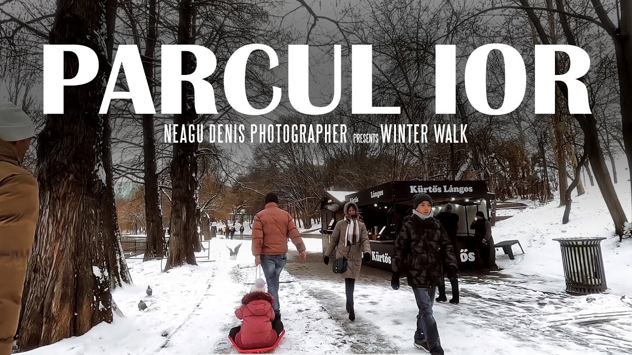 First Snowfall of 2025 in IOR Park – A Winter Walk in Bucharest - YouTube
