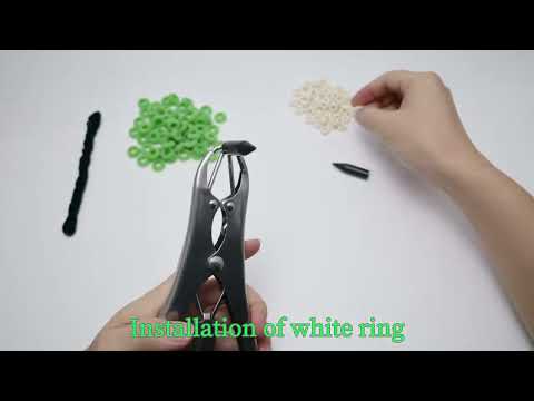 Goat, sheep banding castration ring 9745979898