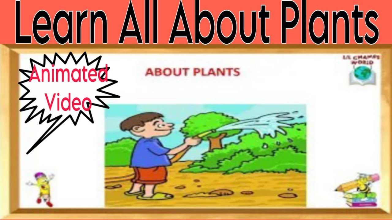 Plants for kids || Parts of a plant song || How do plants grow ...