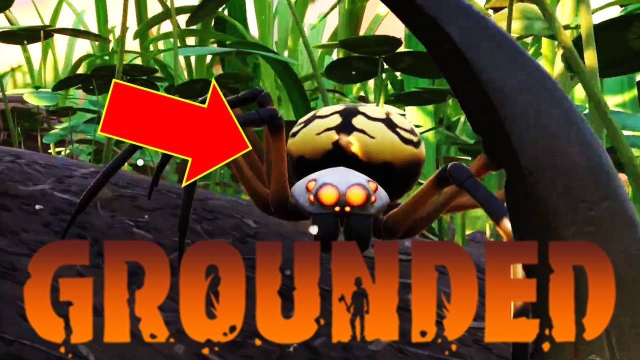 BIG SPIDER ENCOUNTER - Grounded Gameplay - YouTube