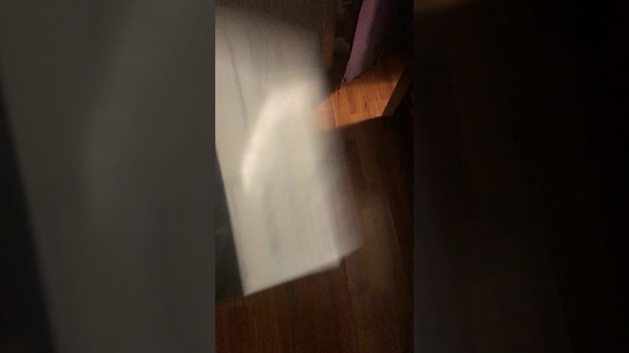 Laminated Paper Flapping - YouTube