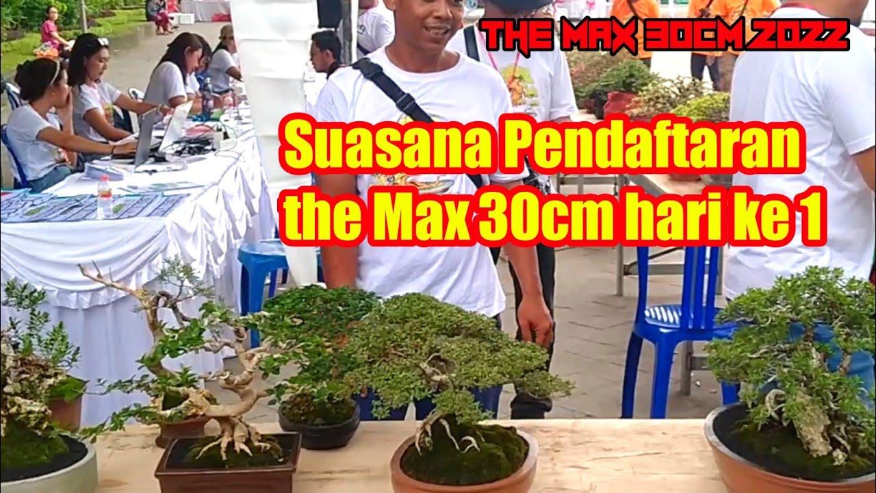 The Max 30cm 2022 - Suasana Pendaftaran Hari ke 1 | Pamnas Bonsai ...