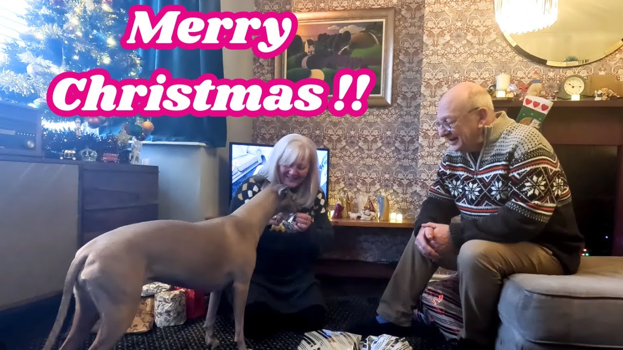 Our Christmas Day 🎄 Cosy Morning, Gifts & A Very Excited Whippet! - YouTube