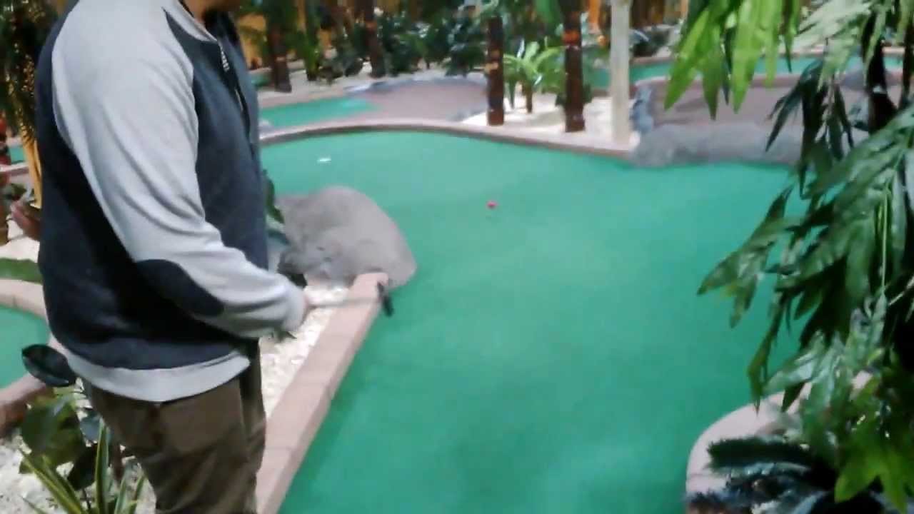 EPIC MINI GOLF FAIL (Vlog #2) - YouTube