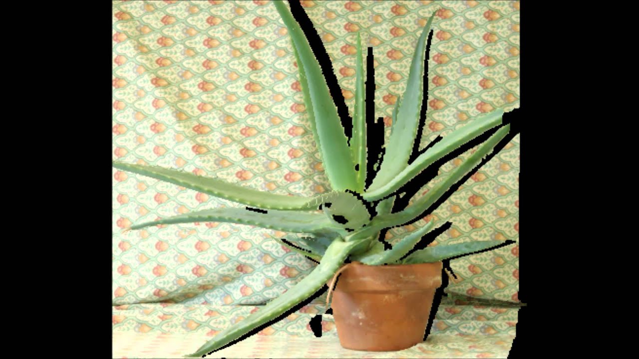 SELECTIVE HOLE-FILLING FOR DEPTH-IMAGE BASED RENDERING - YouTube