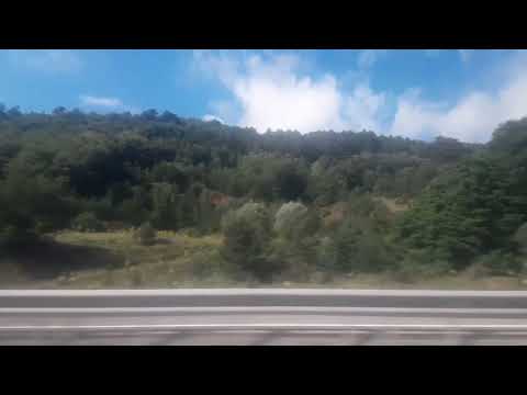 TOFAŞ ŞAHİN SNAP