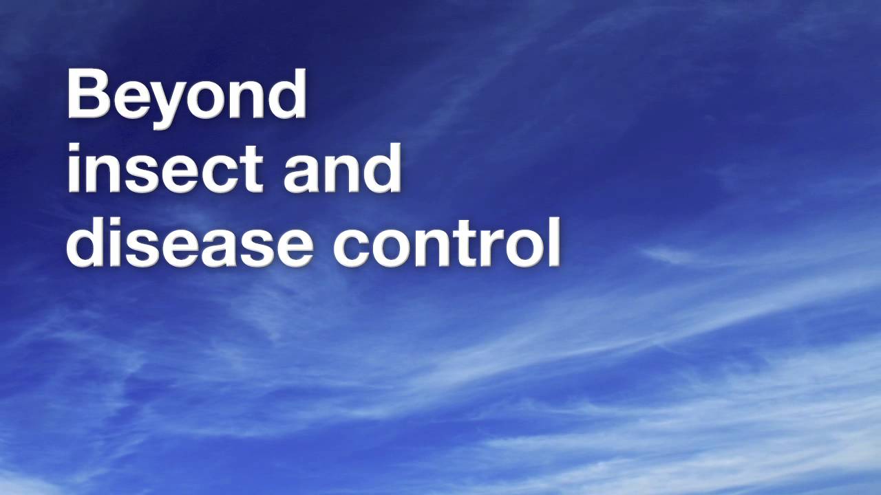 Cruiser Maxx Vibrance Cereals Rooting Power - YouTube