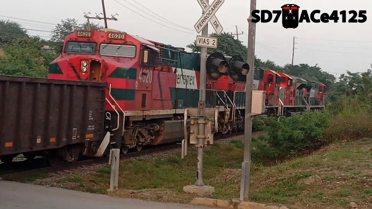 2 Trenes Fierreros con Gondolas Dañadas con Planchon Llegando y ...