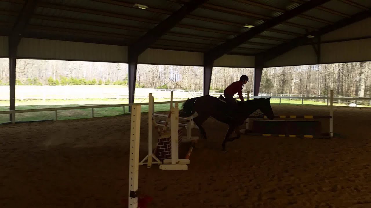 January 16, 2016 - YouTube