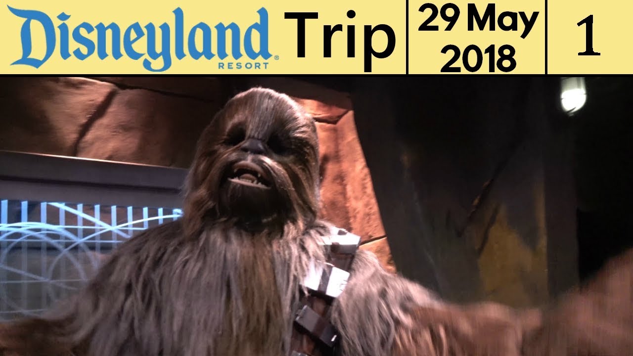 (4K) Wookie Hugs are the Best Hugs! | DISNEYLAND Vlog | 29 May 2018 ...
