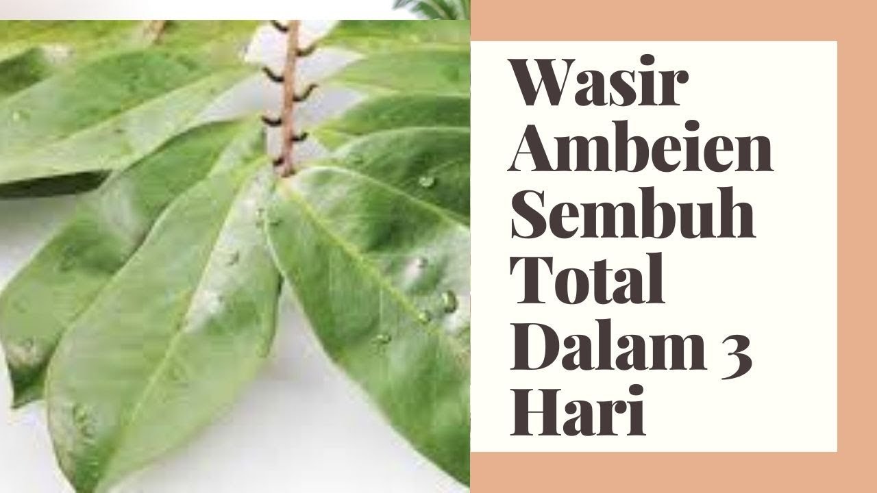 Wasir Ambeien Sembuh Total Dalam 3 Hari - YouTube