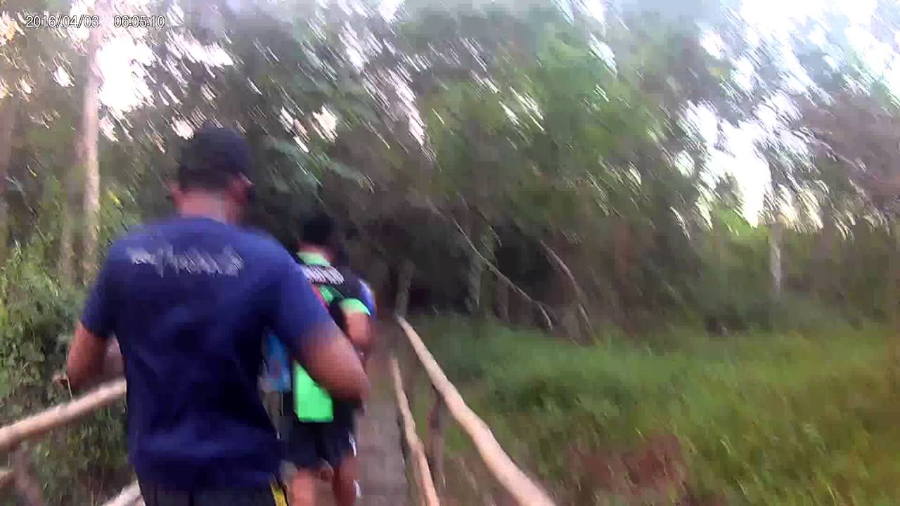 Wilcon Run for Environment - YouTube