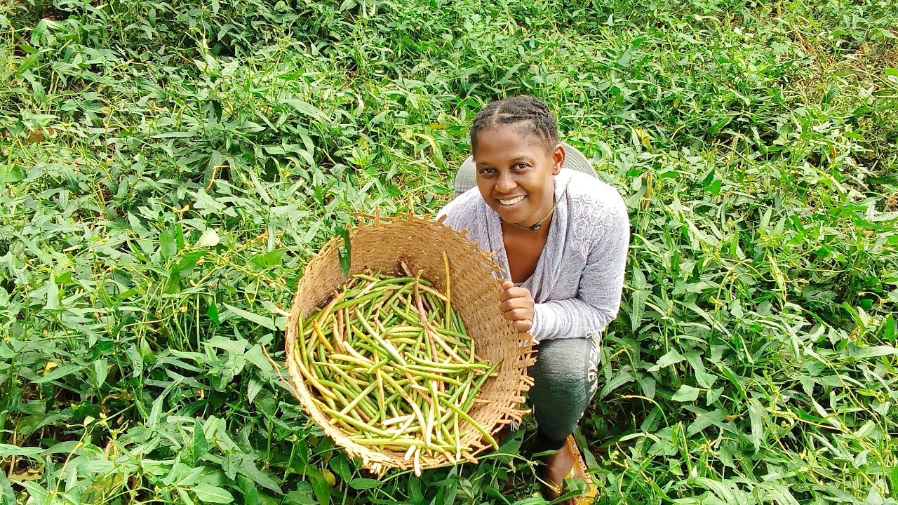 # Organic food# African Traditional Food # Simple dish Nyemba# Cowpeas ...