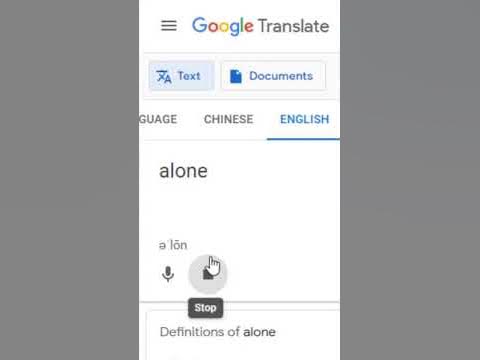 Google Translate Sings I'll Just Dance by Su Lee (Google Translator ...